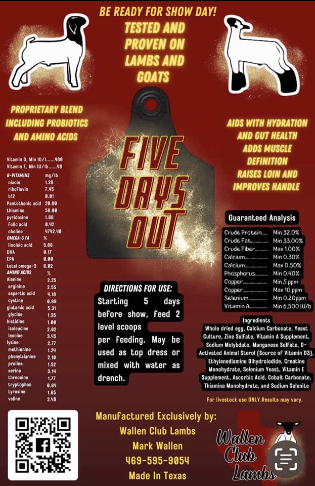 5 Days Out - Wallen Club Lambs | 5 Days Out